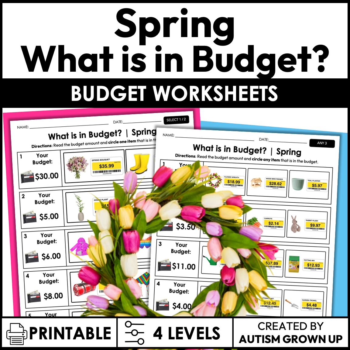 Spring Budget | Life Skills Worksheets for Special Education — Autism ...