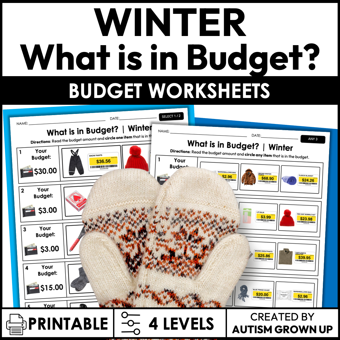 Winter Budget Worksheets for Special Education — Autism Grown Up
