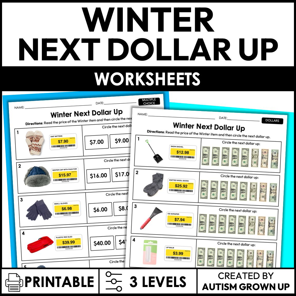 Winter Next Dollar Up | Life Skills Worksheets for Special Education ...