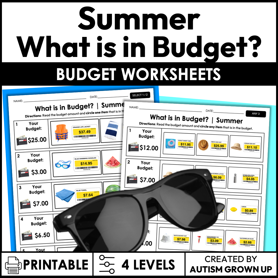 Summer Budget | Life Skills Worksheets for Special Education — Autism ...