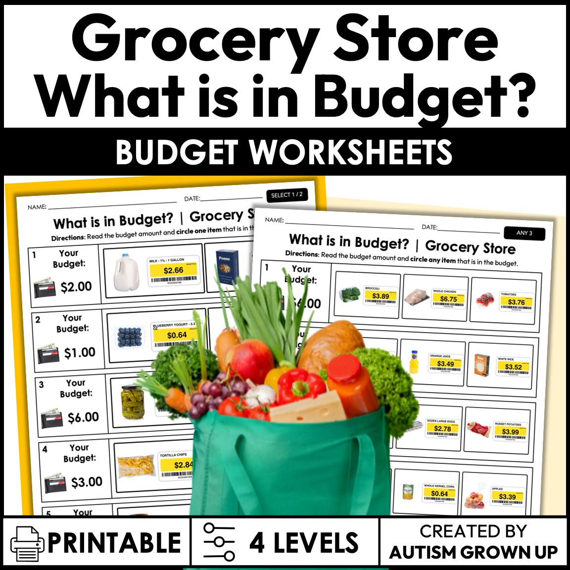 Grocery Store Budget | Life Skills Worksheets for Special Education ...