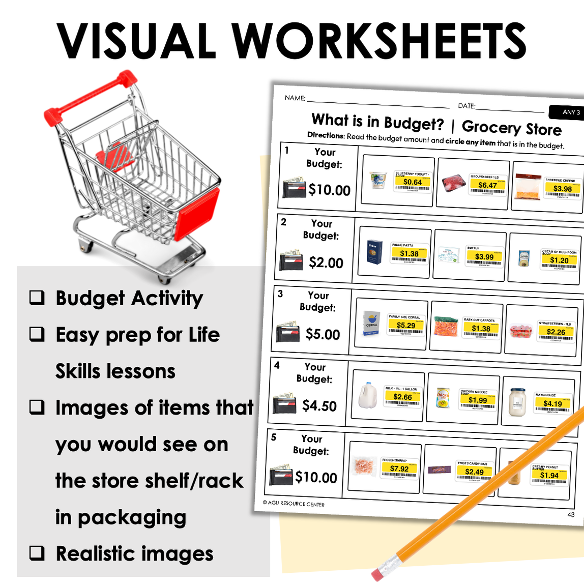 Grocery Store Budget | Life Skills Worksheets for Special Education ...