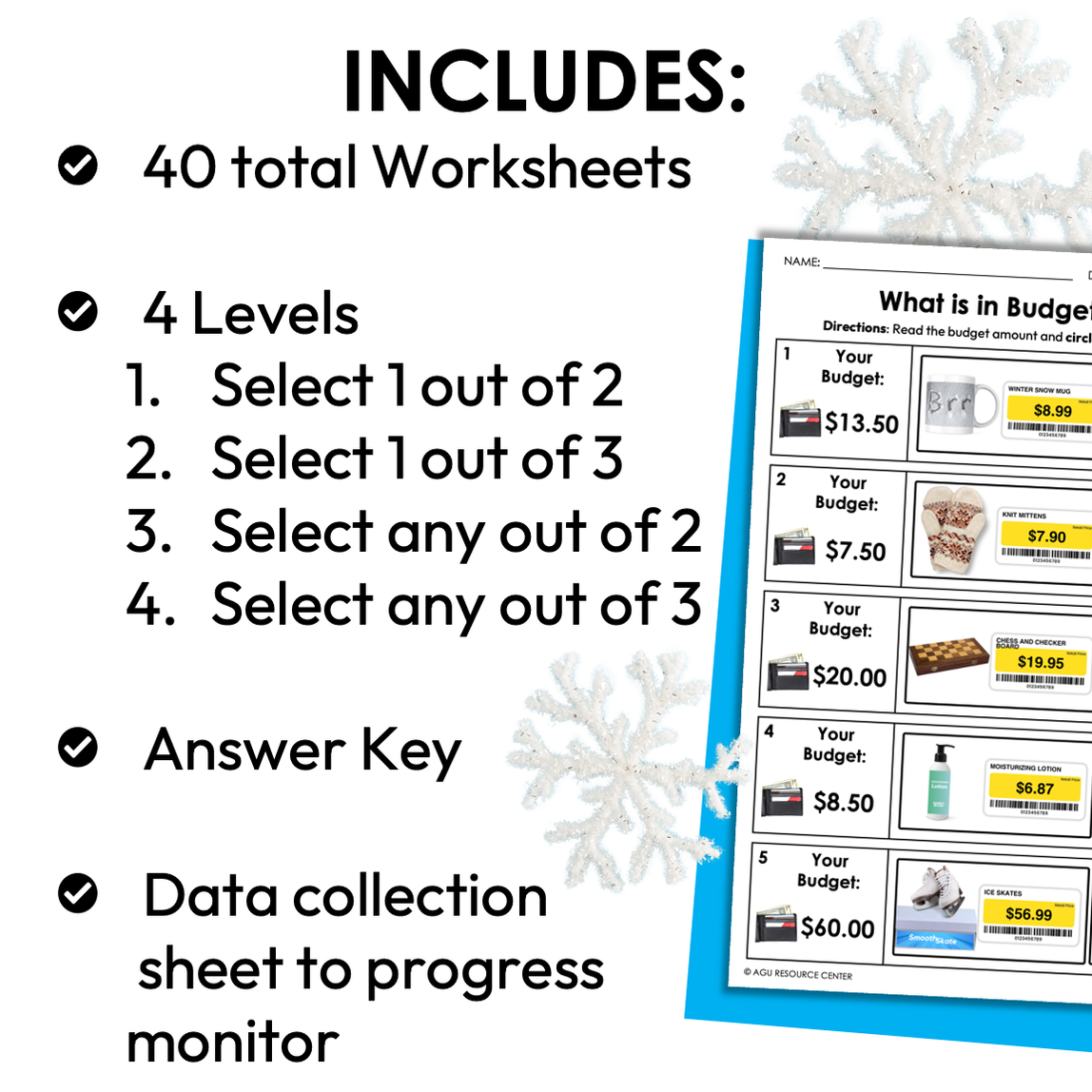 Winter Budget Worksheets for Special Education — Autism Grown Up