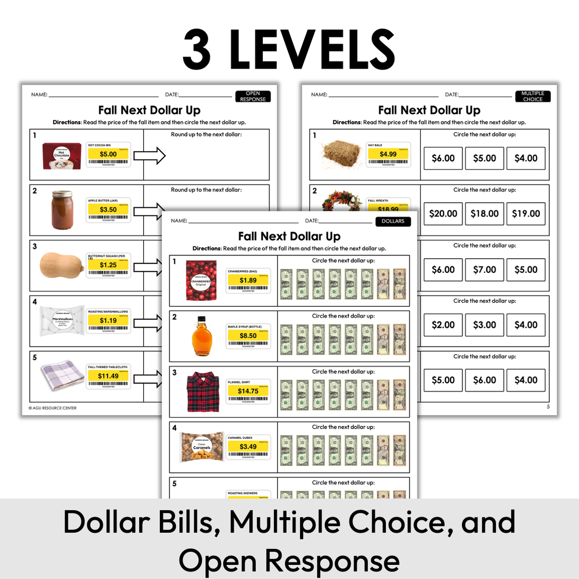 Fall Next Dollar Up Worksheets for Special Education — Autism Grown Up