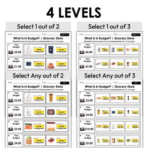 Grocery Store Budget | Life Skills Worksheets for Special Education ...