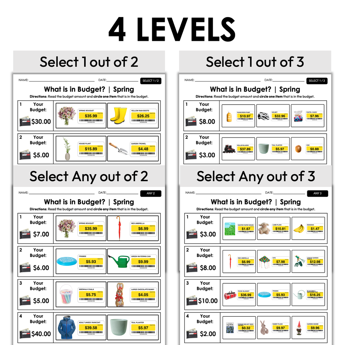 Spring Budget | Life Skills Worksheets for Special Education — Autism ...
