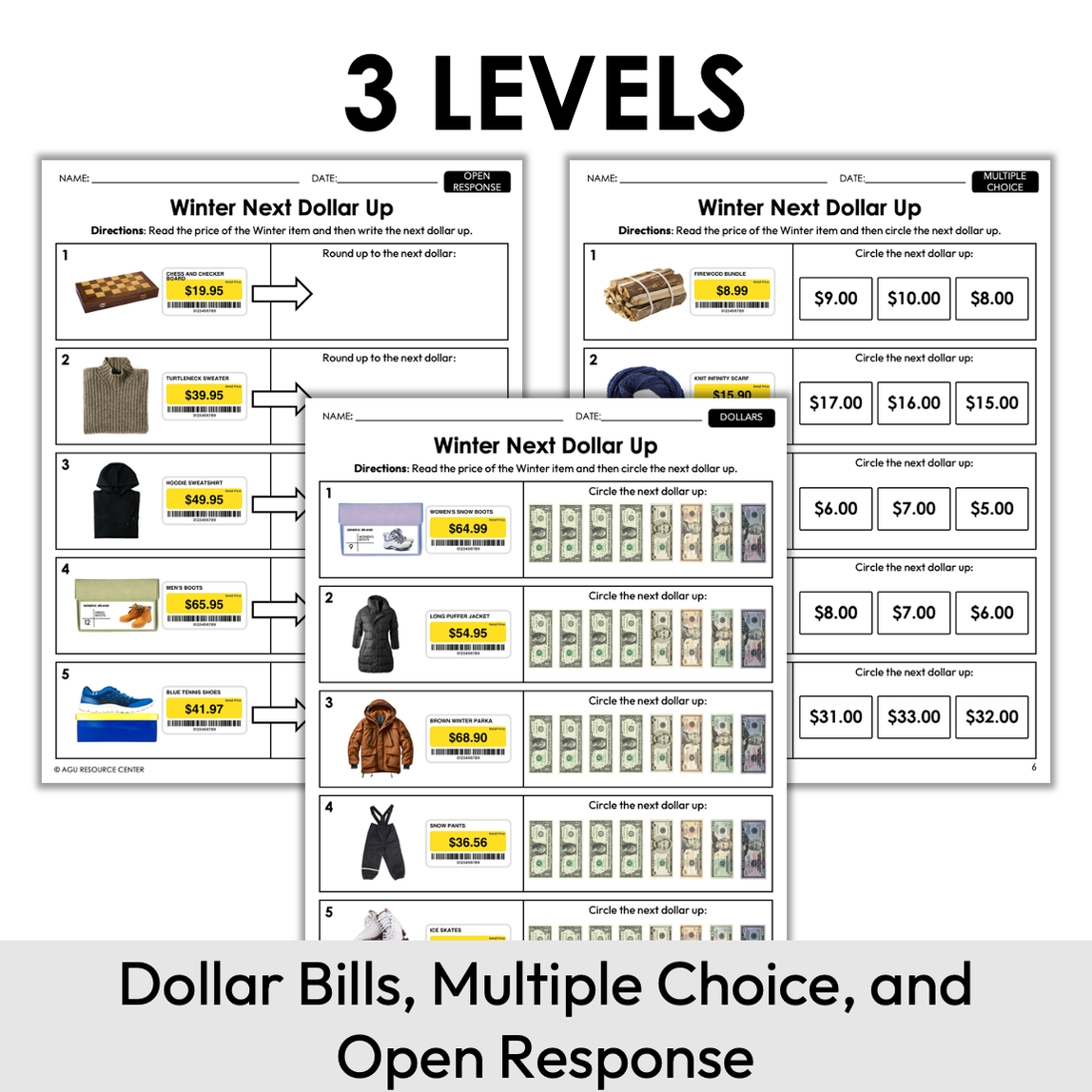 Winter Next Dollar Up | Life Skills Worksheets for Special Education ...